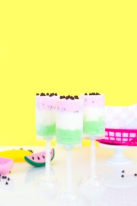 Throwback DIY: Watermelon Push Pop Popsicles – Aww Sam