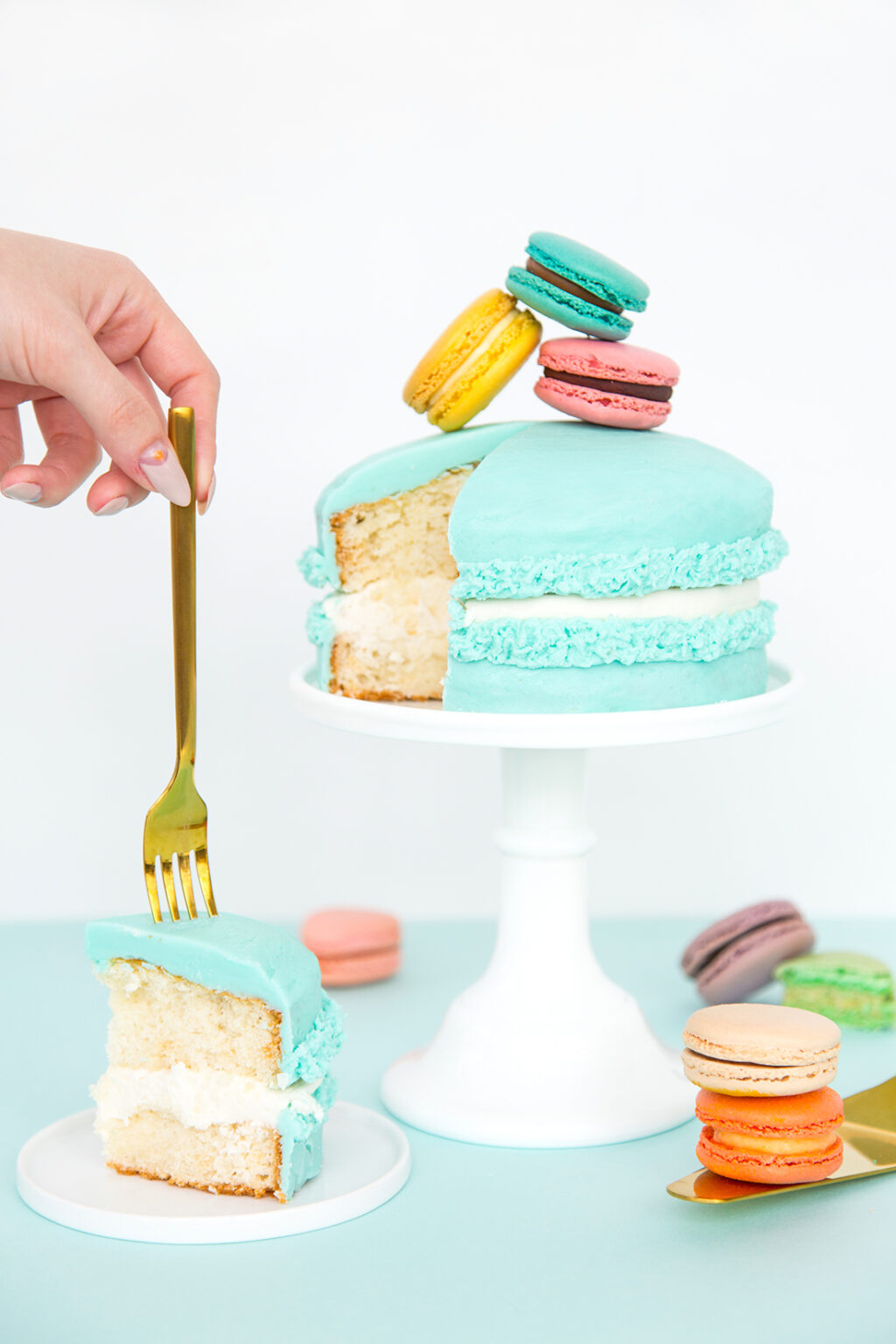 Giant Macaron Cake – Aww Sam
