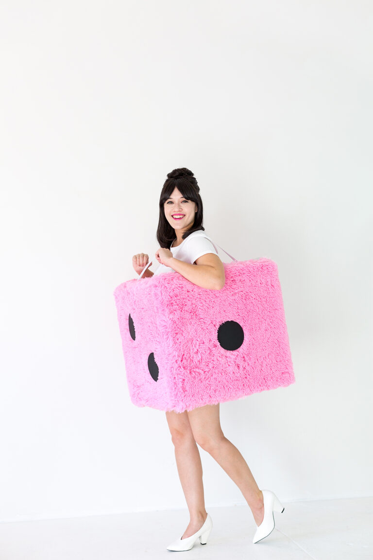 DIY Fuzzy Dice Group Costume – Aww Sam