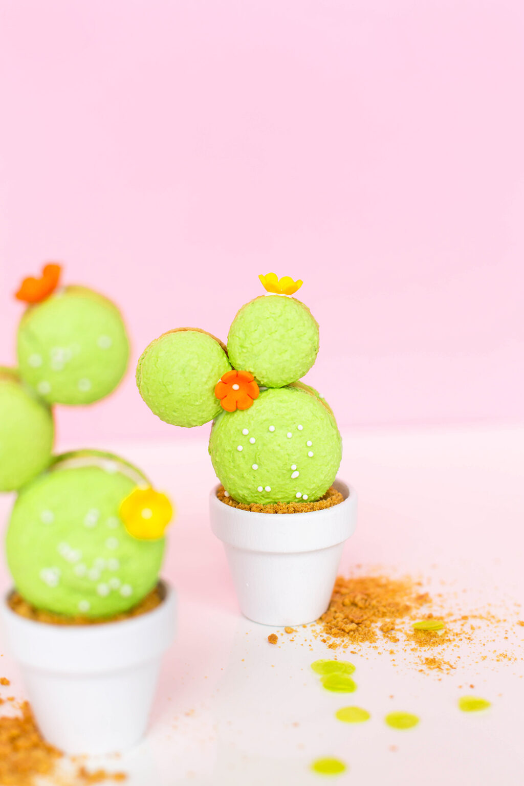 Dessert Hack: Cactus Macarons – Aww Sam