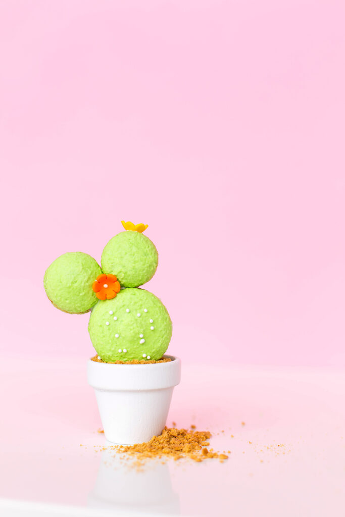 Dessert Hack: Cactus Macarons – Aww Sam