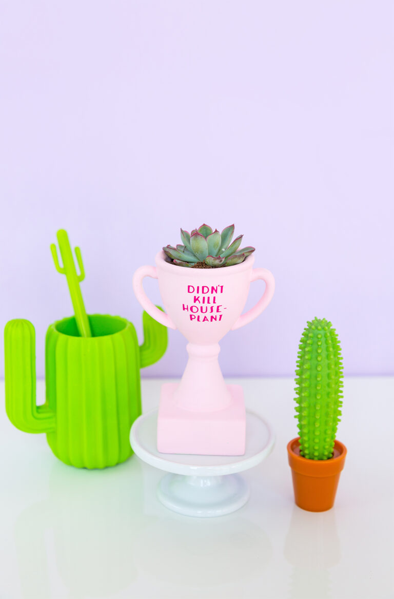 DIY Small Accomplishment Trophy Planters – Aww Sam